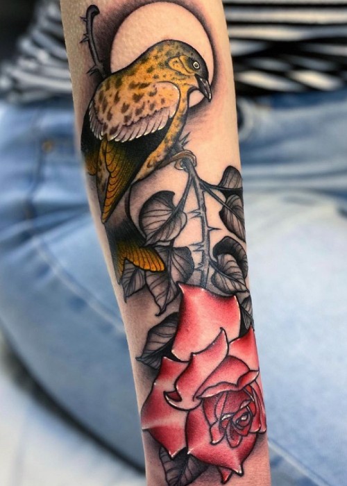 Indigo Tattoo | Norwich's Finest Tattoo Artists & Professional ...