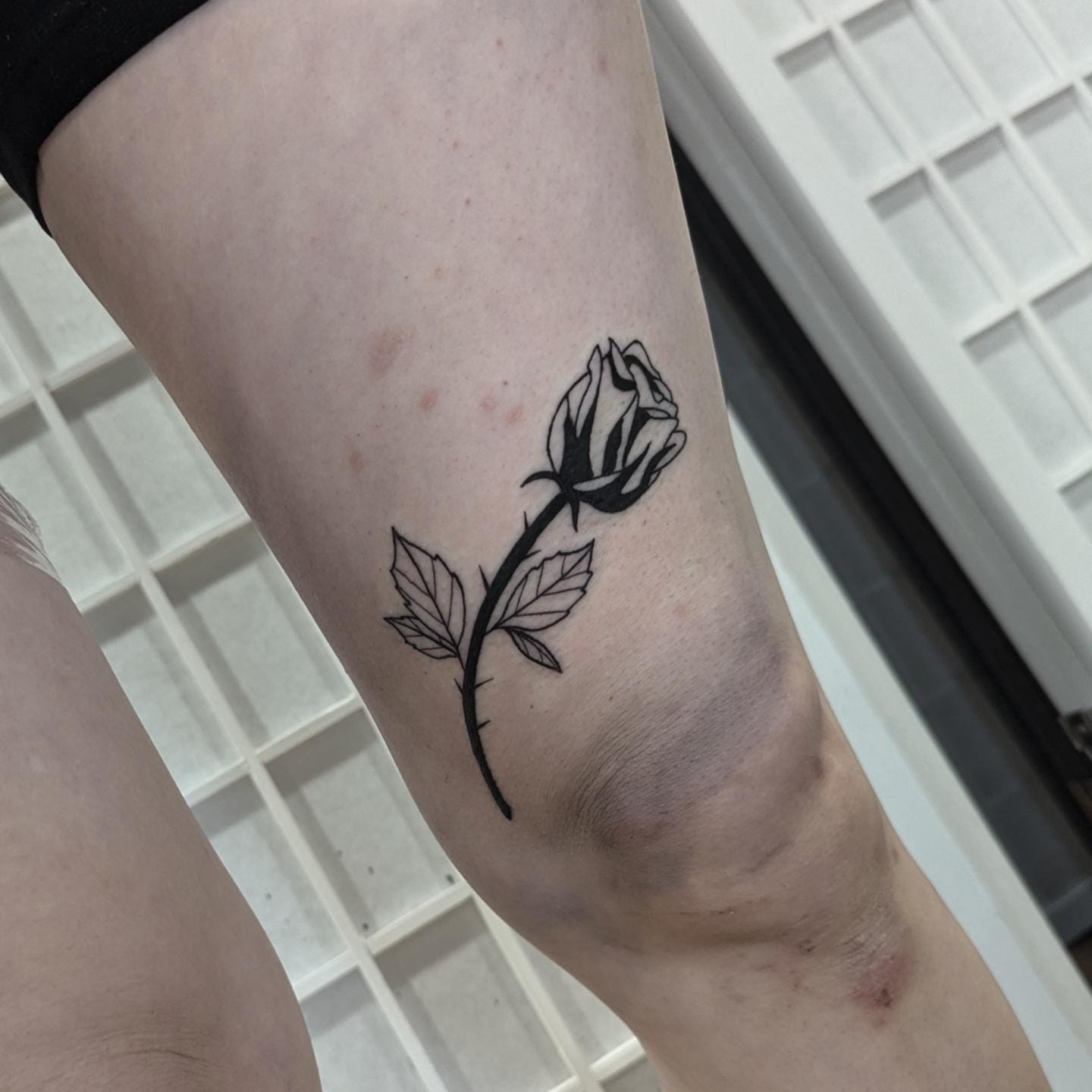 Alfie | Indigo Tattoo